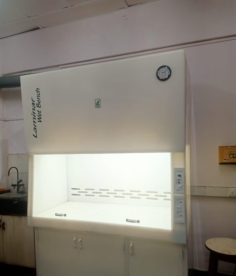 Laminar Flow Chamber With Fume Hood (Wet Bench) - My CMS